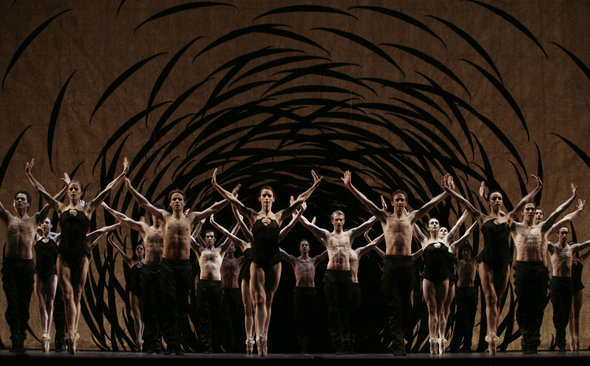 Maisonneuve | The Choreographic Amalgamation Phenomemon